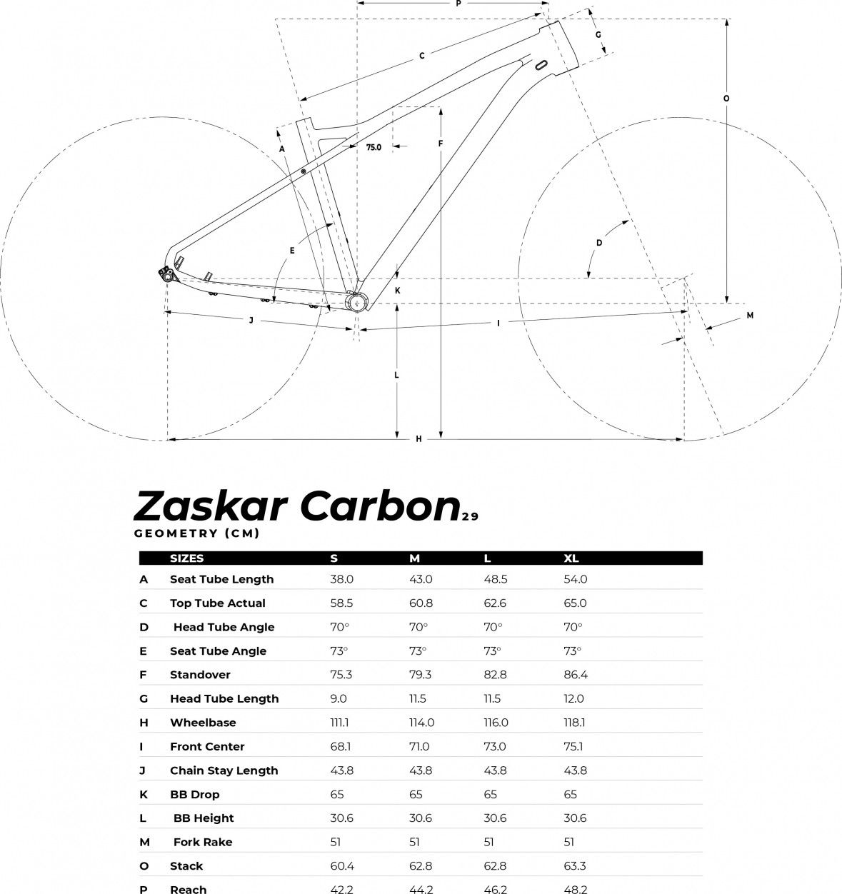Zaskar carbon expert 2020 store